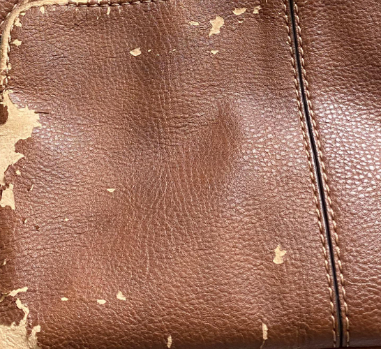 The Old New Purse – Literary Bitch